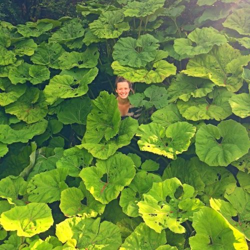 Wild Summer Photo competition - Highly commended - Wild Things Publishing