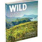 Wild Guide Central England book - Wild Things Publishing