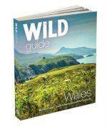 Wild Guide Wales and Marches book - Wild Things Publishing