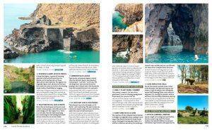 Wild Guide Wales and Marches book - Wild Things Publishing