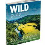 Wild Guide Wales and Marches book - Wild Things Publishing