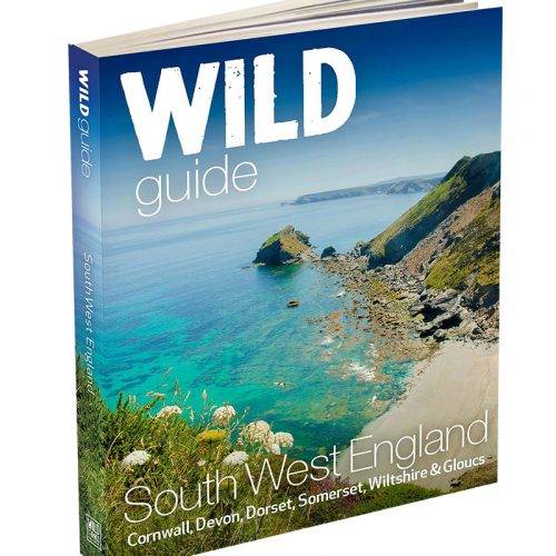 Wild Guide Wales and Marches book - Wild Things Publishing