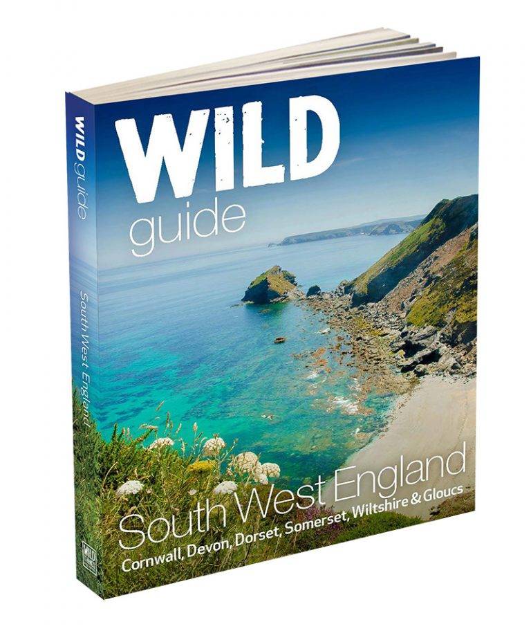 Home - Wild Things Publishing